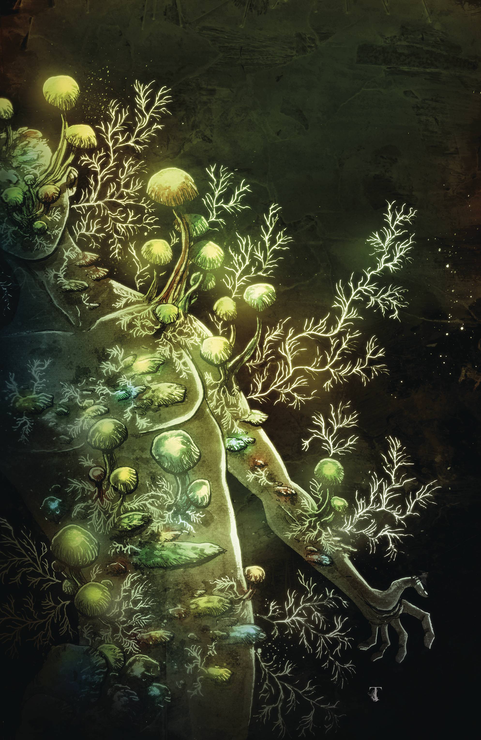 In Bloom #4 (10 Copy Templesmith Cover) | Fresh Comics